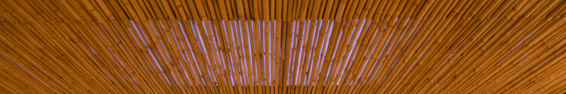 sense of harmony: the panda house | the design story