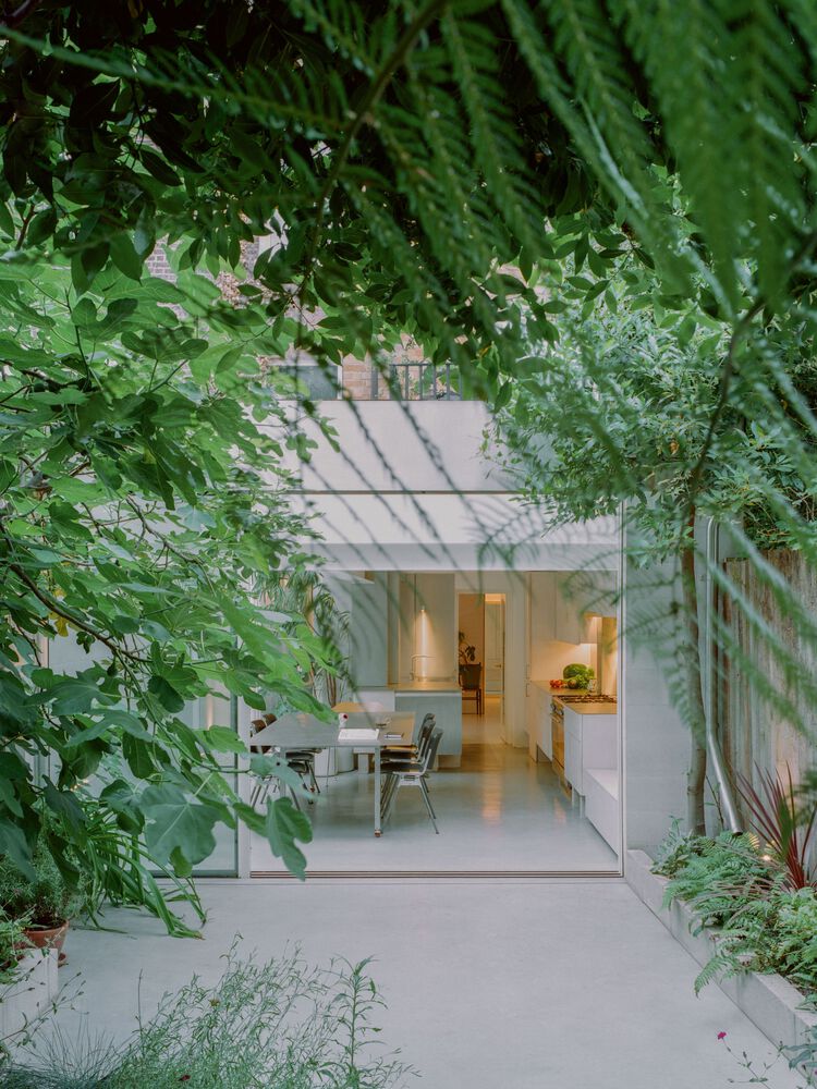 oasis house is a light-filled sanctuary amid a lush hidden garden ...