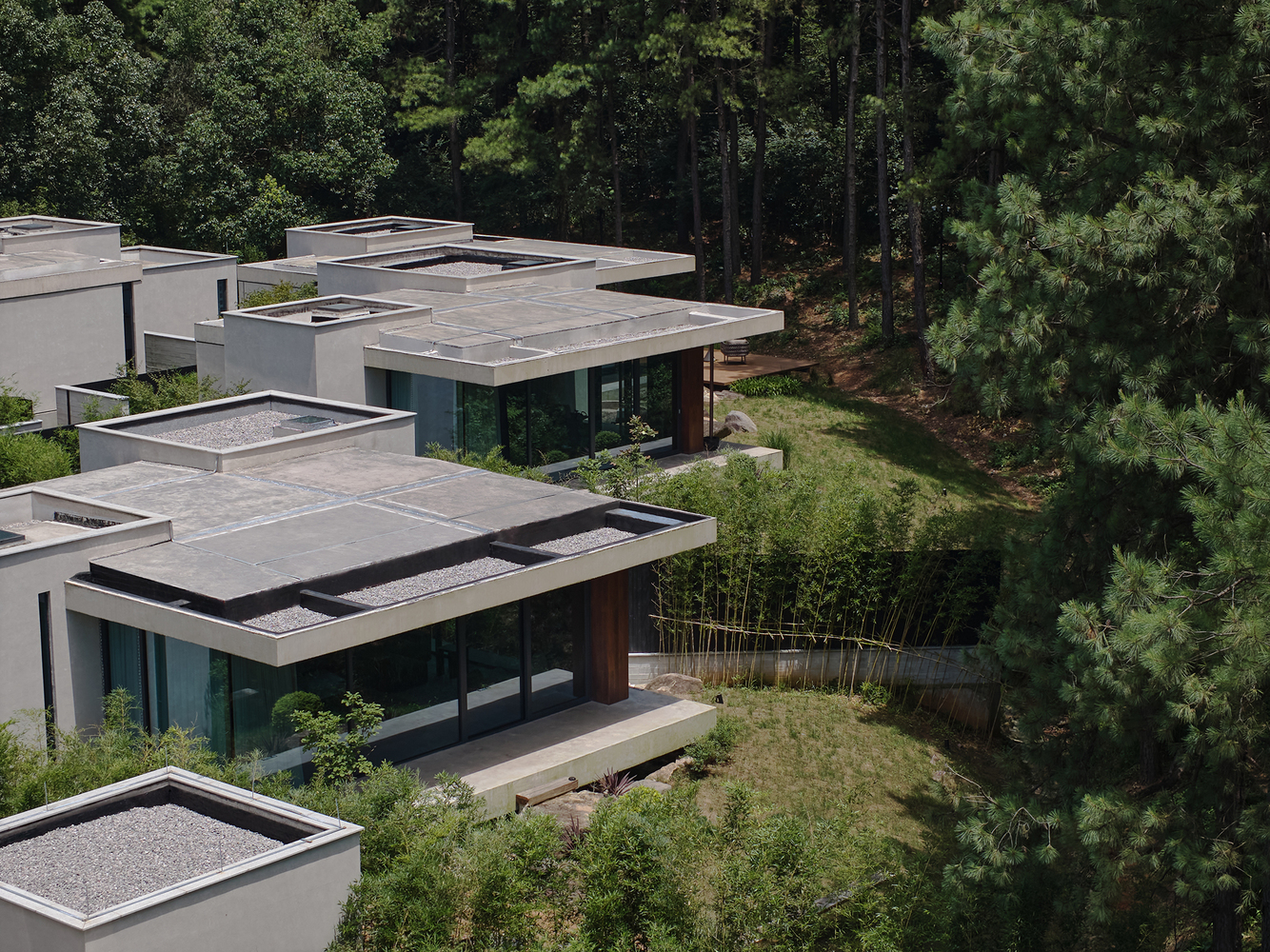 anadu pine villa is a hidden sanctuary in the pine forest: project by studio8 | the design story