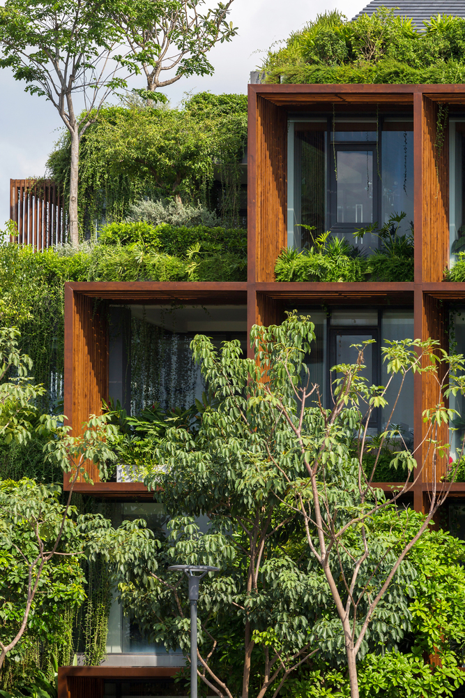tony fruit office is half a headquarter and half a tree house: project ...
