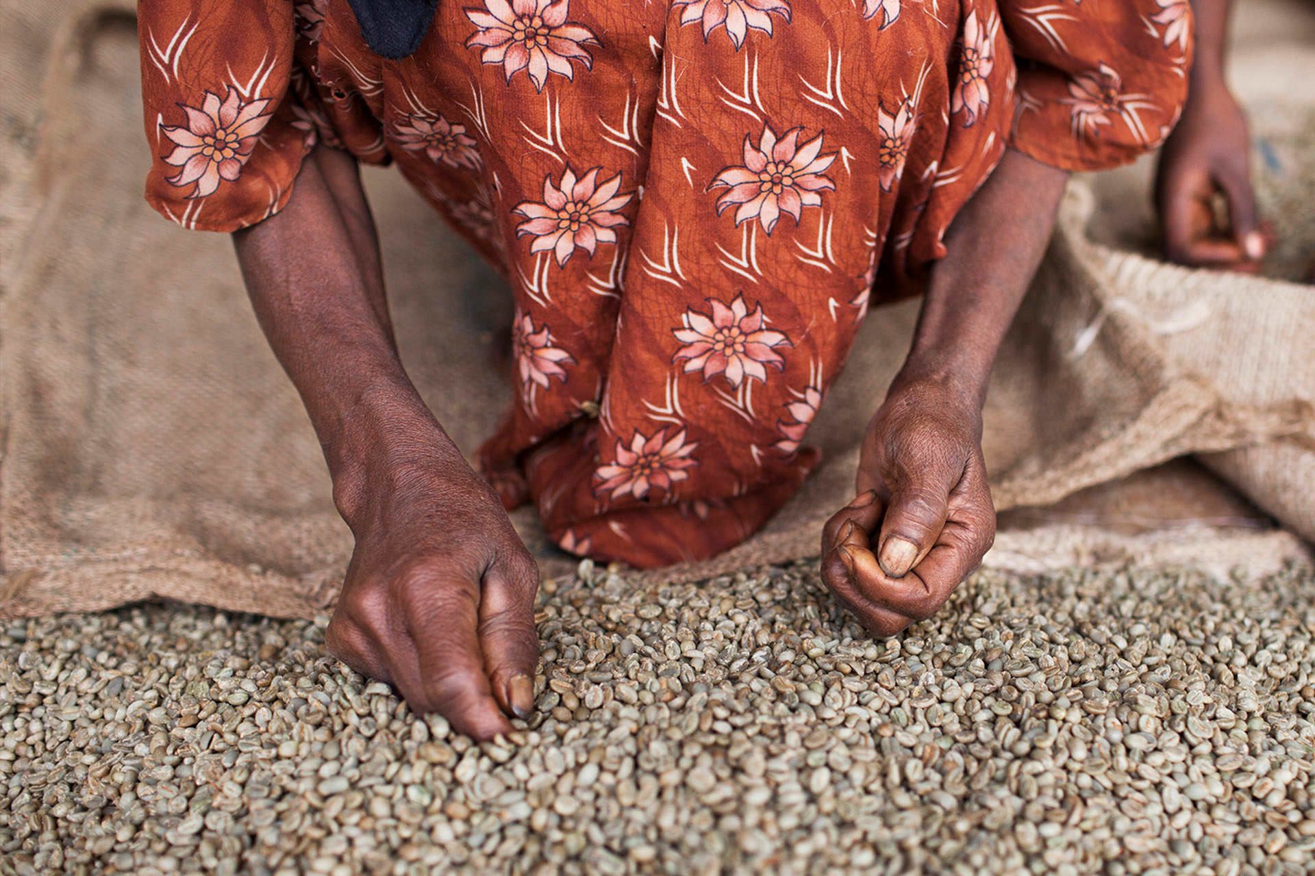 empowering livelihood; this is how nestlé nespresso promotes ...