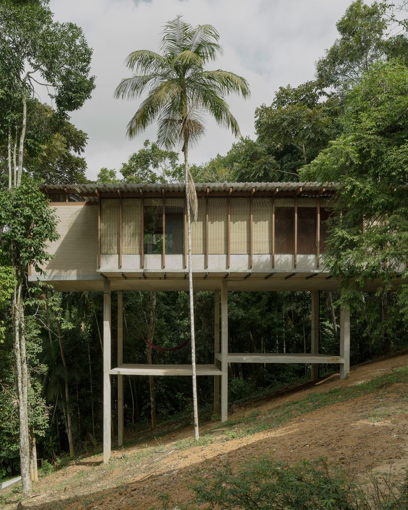 stilted house in the trees naturally blend with brazilian tranquil ...