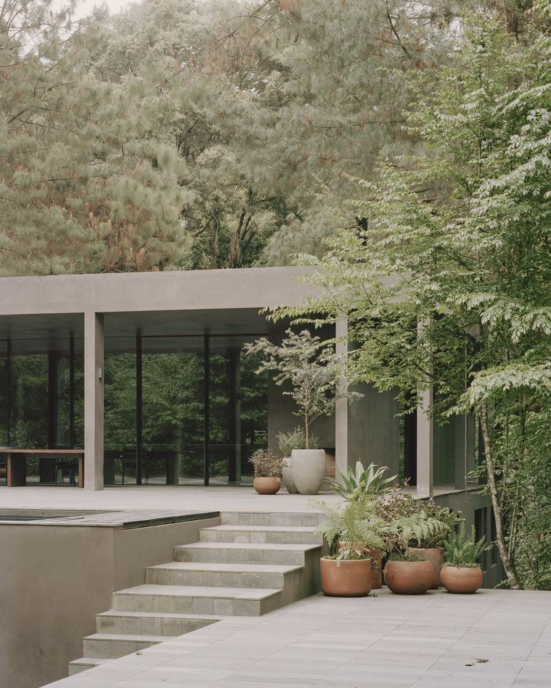 copas house harmonizes subtleness with tranquil forest in everyday ...