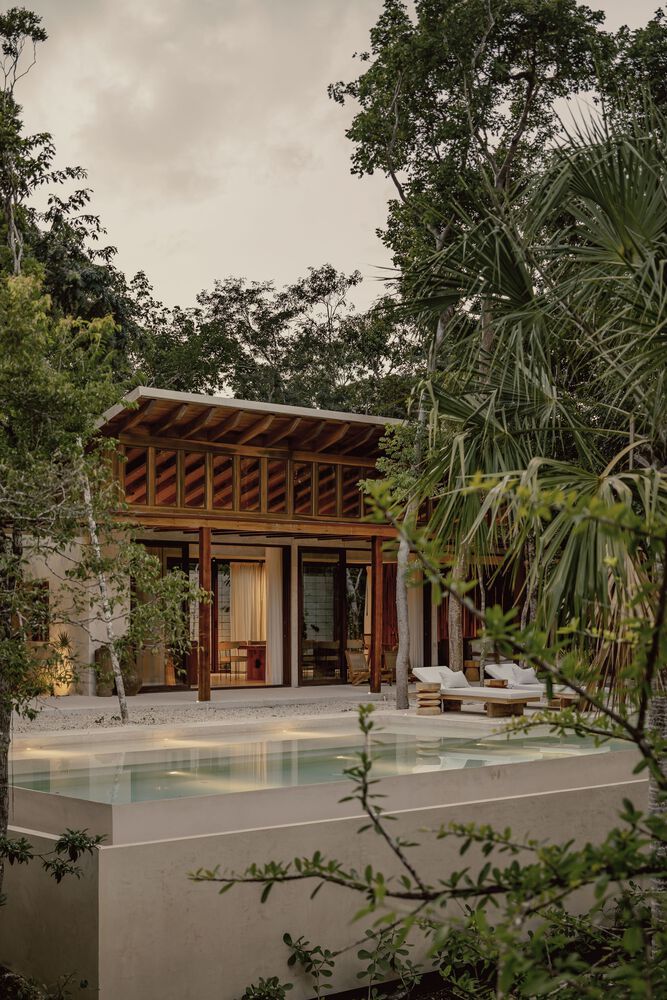 crafting biophilic identity in modern architecture with jaque studio # ...