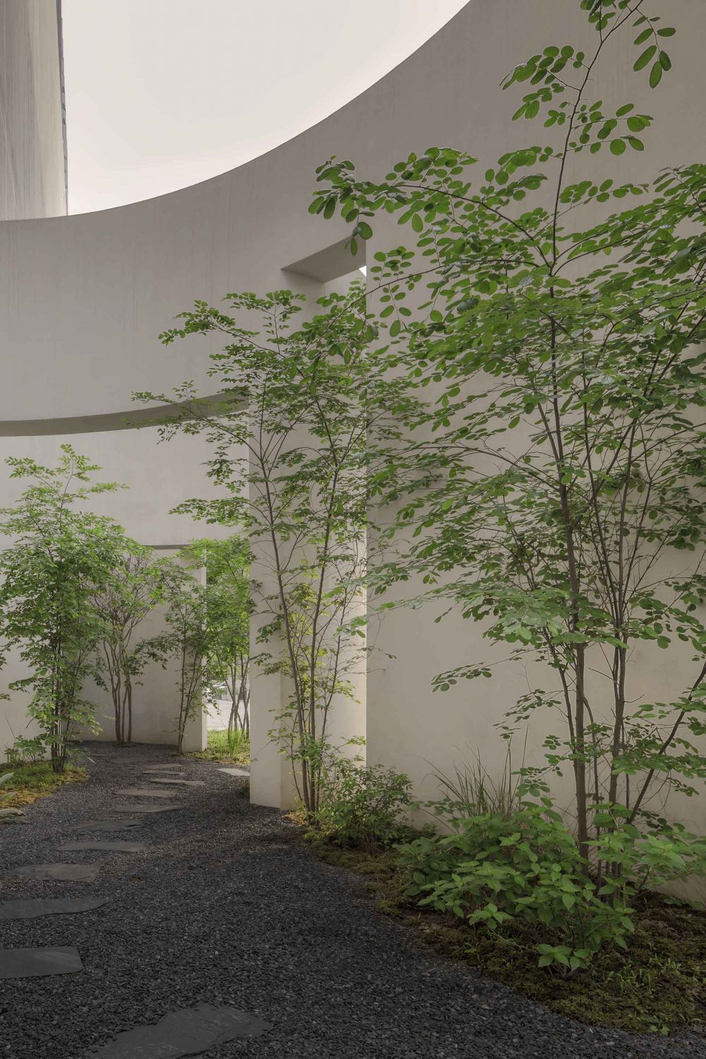 white and curvaceous, simple design archive emerges as a living ...