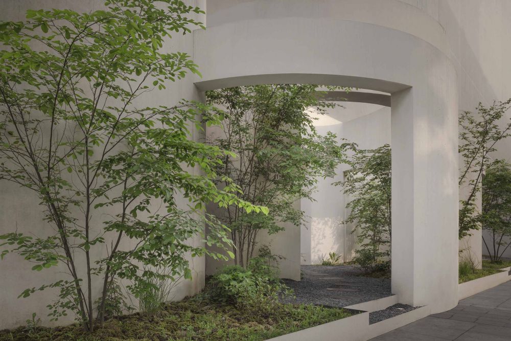 white and curvaceous, simple design archive emerges as a living ...