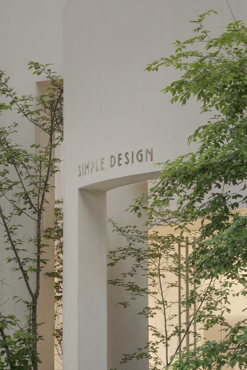 white and curvaceous, simple design archive emerges as a living ...