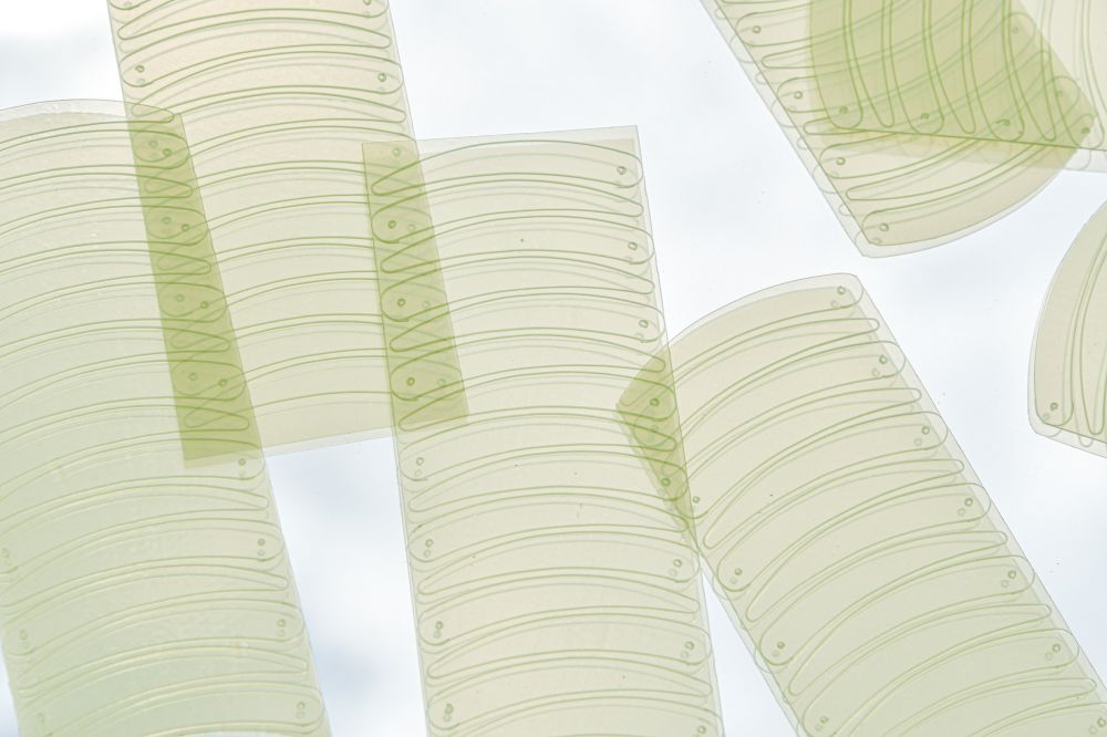 news: 7 ways to reimagine algae, a new dimension of sustainable design ...