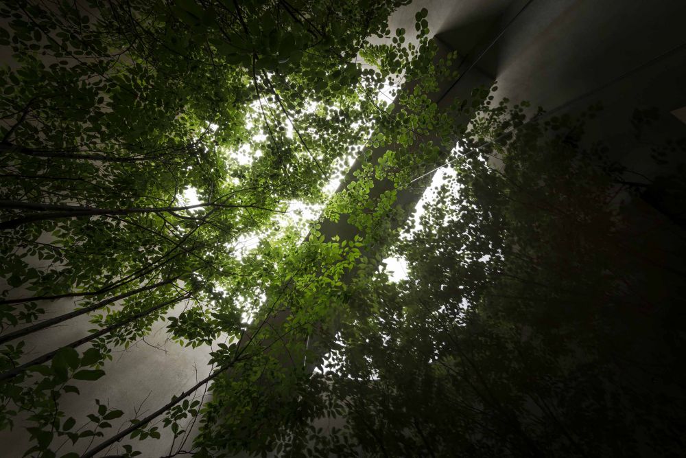 white and curvaceous, simple design archive emerges as a living ...