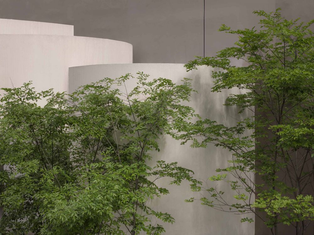 white and curvaceous, simple design archive emerges as a living ...