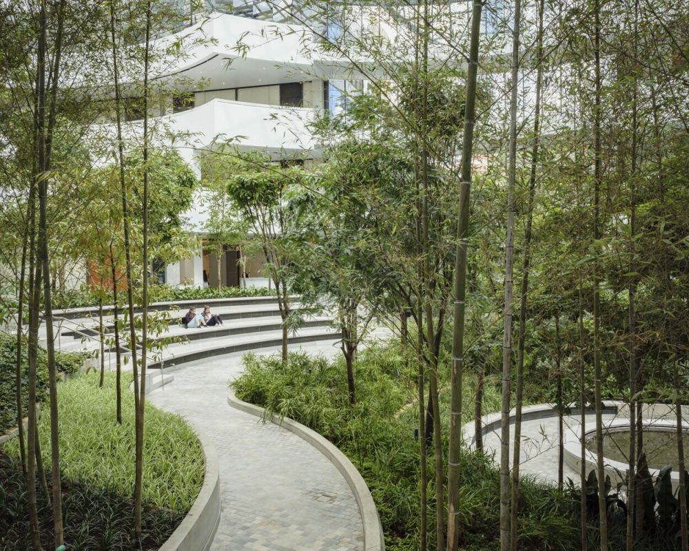 news: the sustainable albert einstein education center is centralized ...