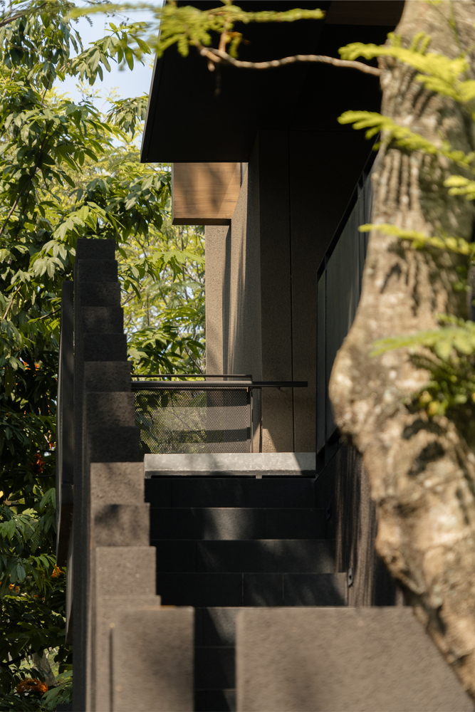 antelope house redefining spaces with light, wood, and nature | the ...