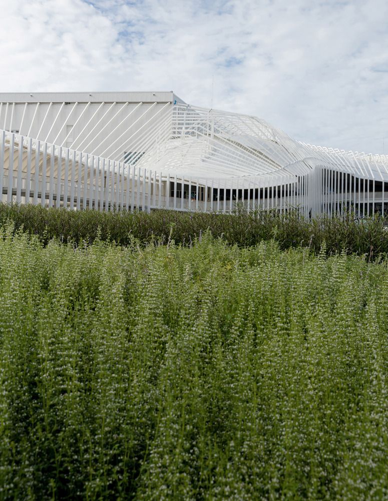 architectkidd is generating environmentally friendly future through ...