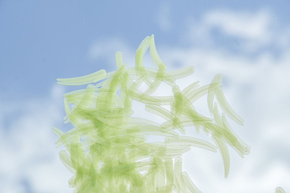news: 7 ways to reimagine algae, a new dimension of sustainable design ...