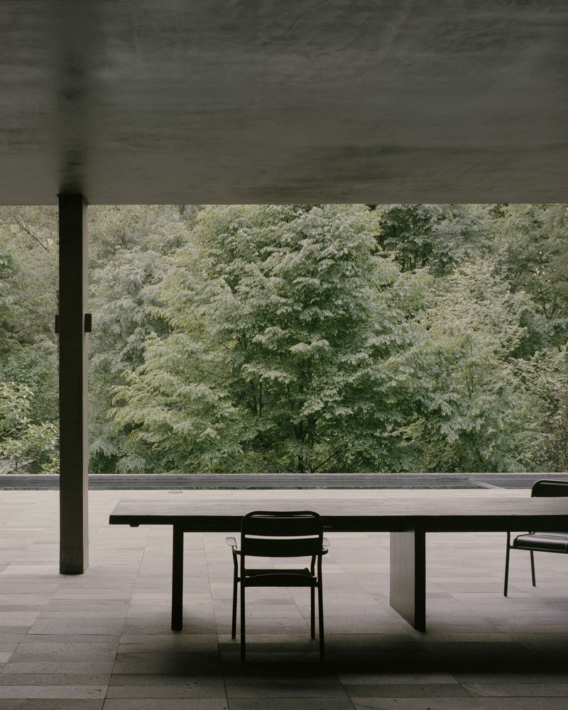 copas house harmonizes subtleness with tranquil forest in everyday ...