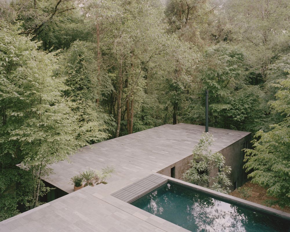 copas house harmonizes subtleness with tranquil forest in everyday ...