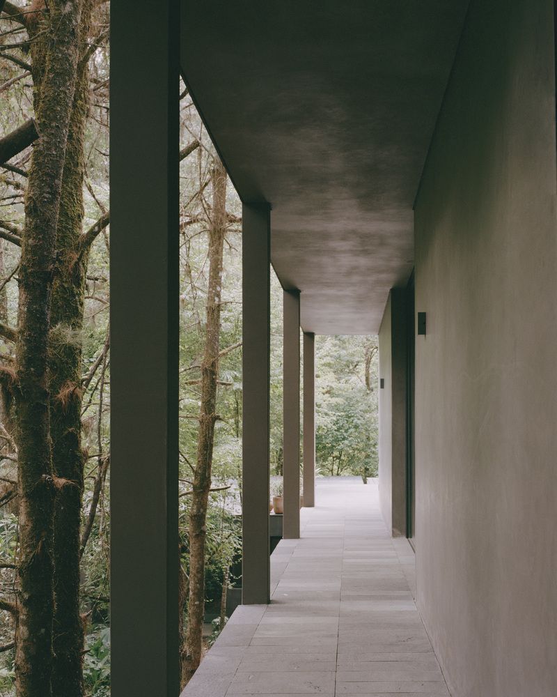 copas house harmonizes subtleness with tranquil forest in everyday ...