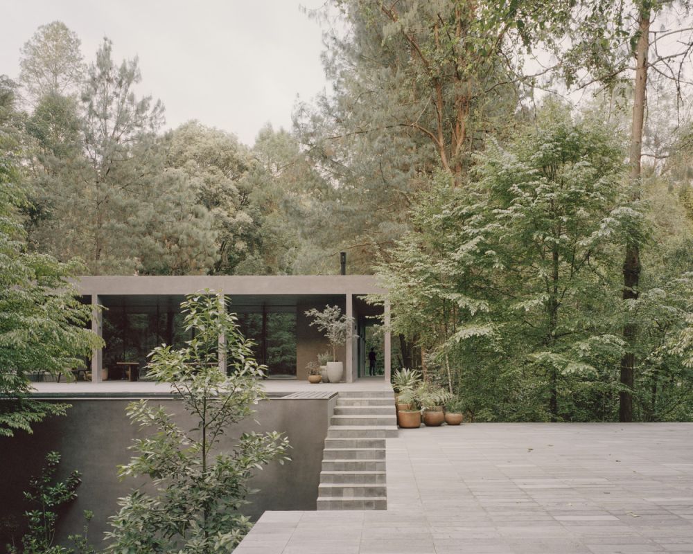 copas house harmonizes subtleness with tranquil forest in everyday ...