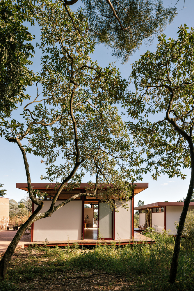 hibiscus house's elevated elegance preserving biodiversity: project by ...