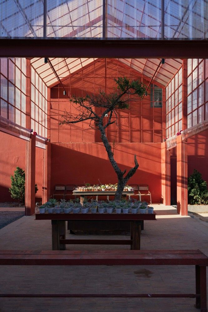 a 1920s tea factory turned into a contemporary public museum in vietnam ...