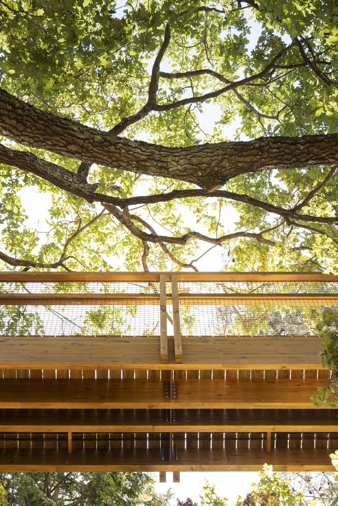 news: these installations allows you to have a healthy walk outdoor ...