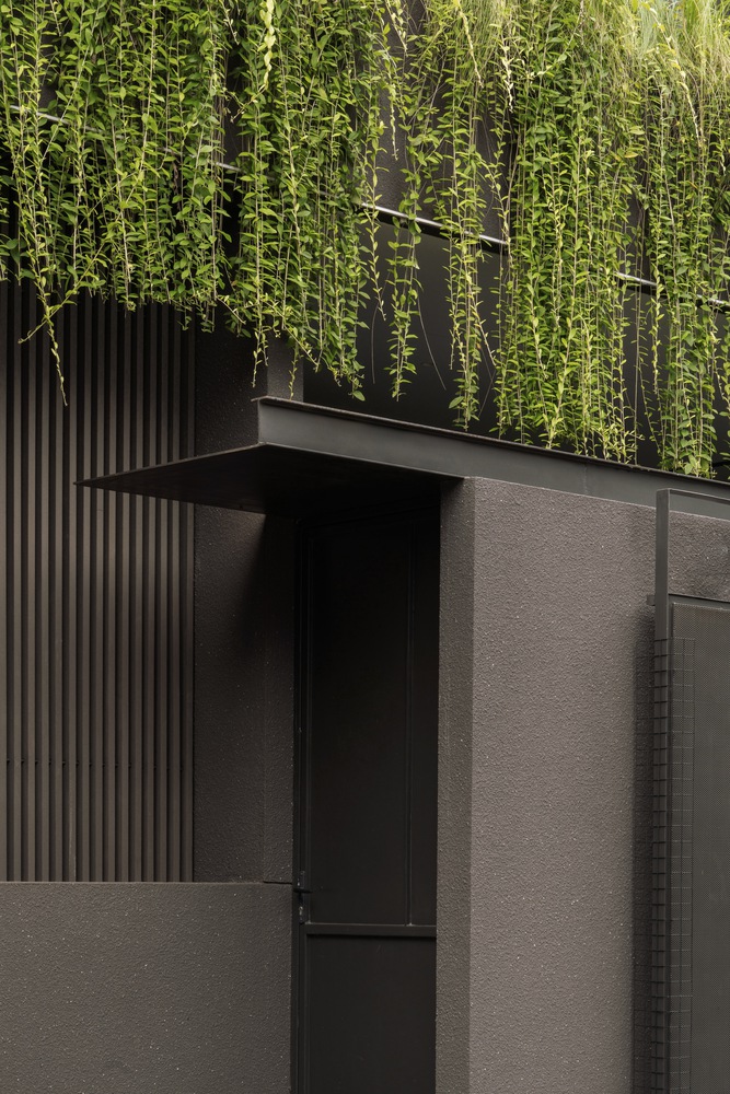 d house fosters connections with light and transparency: project by ...