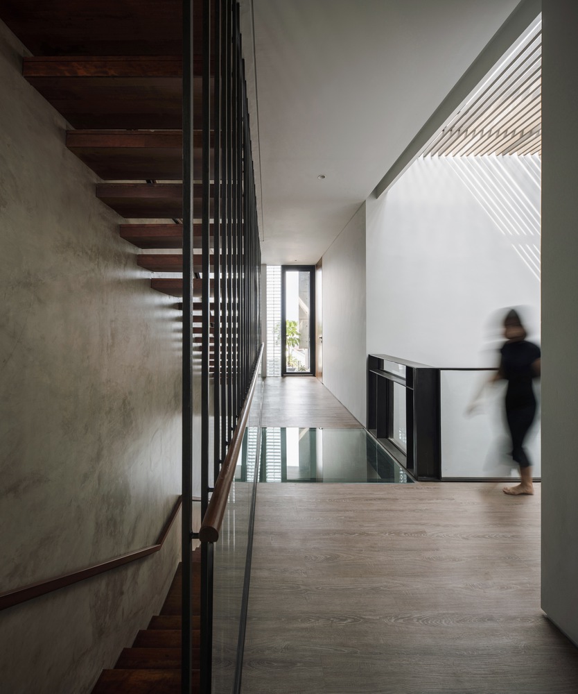 d house fosters connections with light and transparency: project by ...