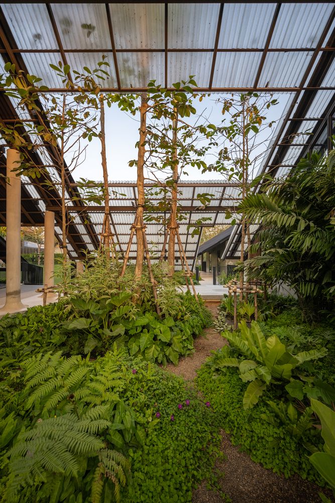 the thoughtfully designed "dog human house" in thailand: project by ...