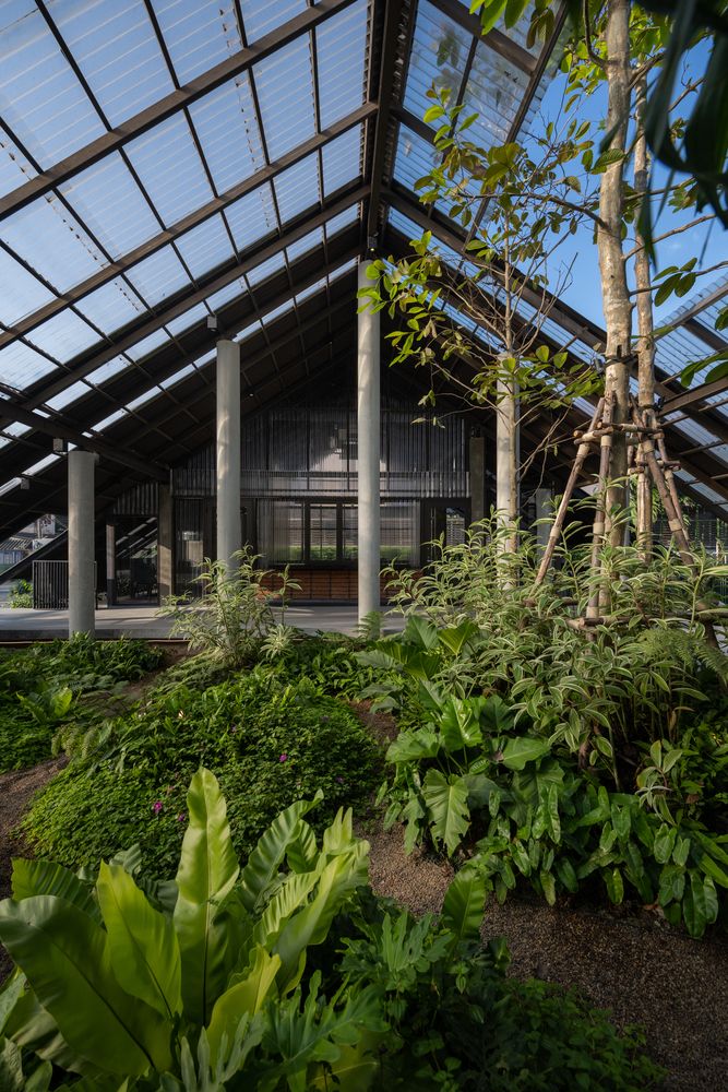 the thoughtfully designed "dog human house" in thailand: project by ...