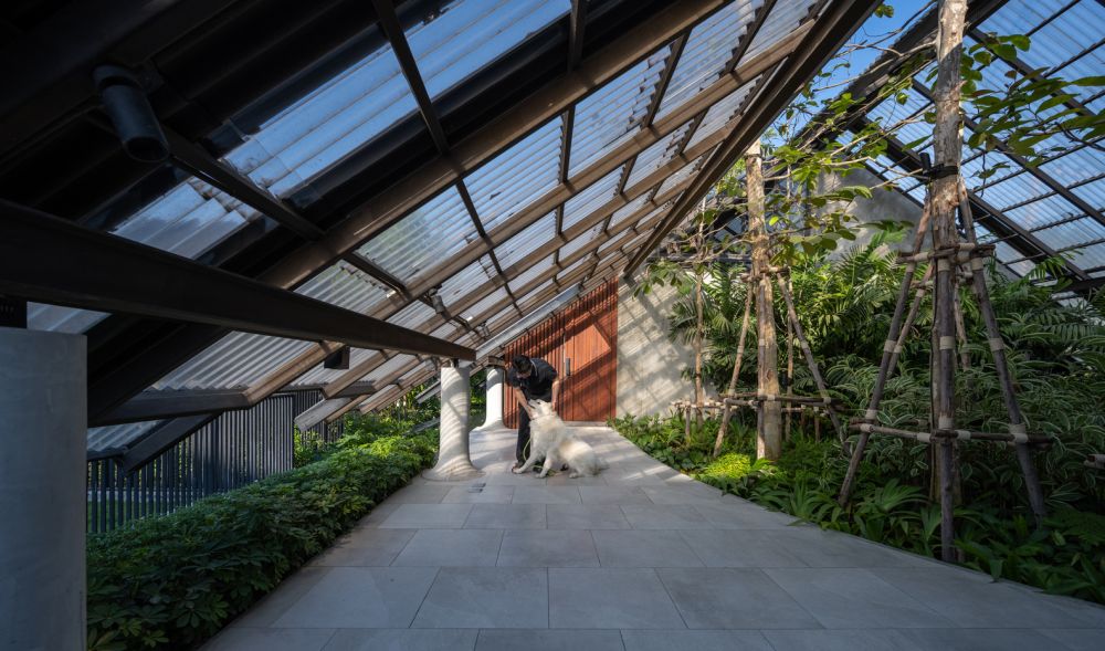 the thoughtfully designed "dog human house" in thailand: project by ...