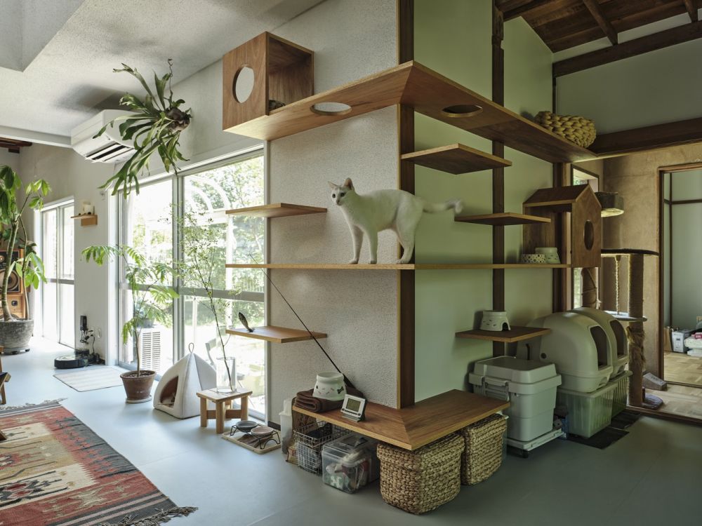 fueda house harmonizes functionality with nature: project by roovice ...