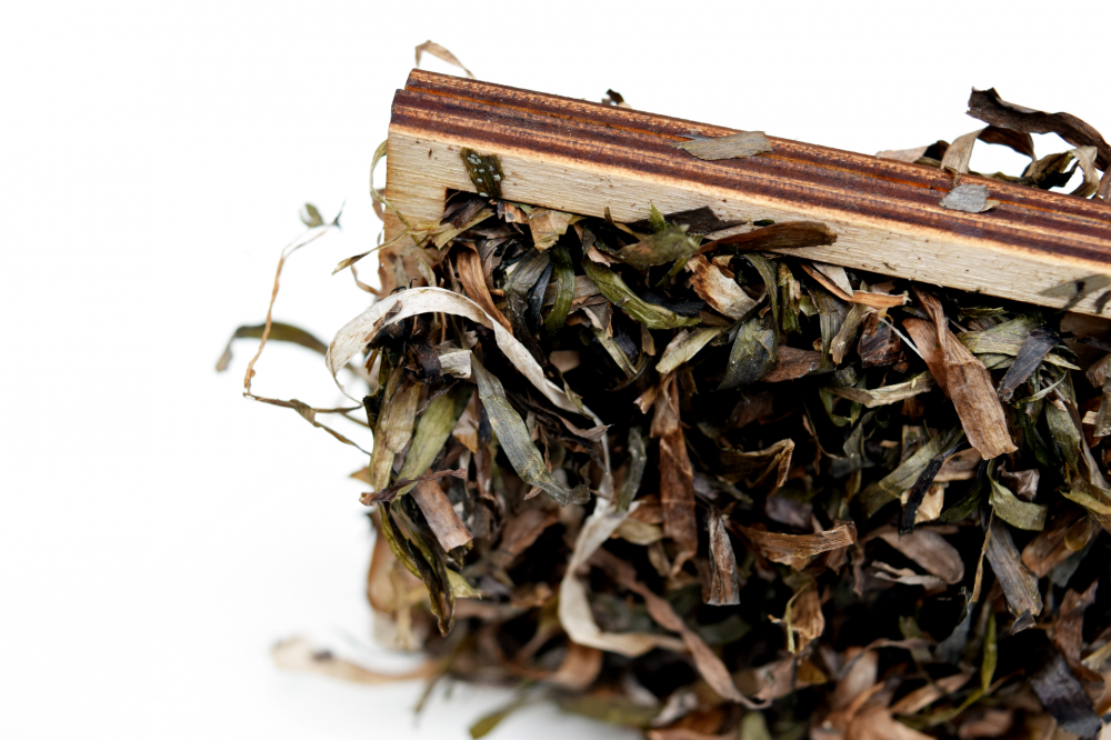 kathryn larsen reintroduces seaweed: the forgotten building material of ...