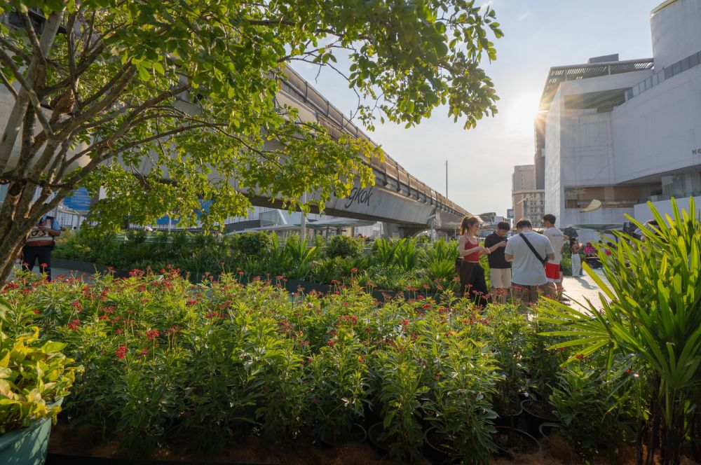 news: hop park is a green oasis transforming bangkok’s urban landscape ...