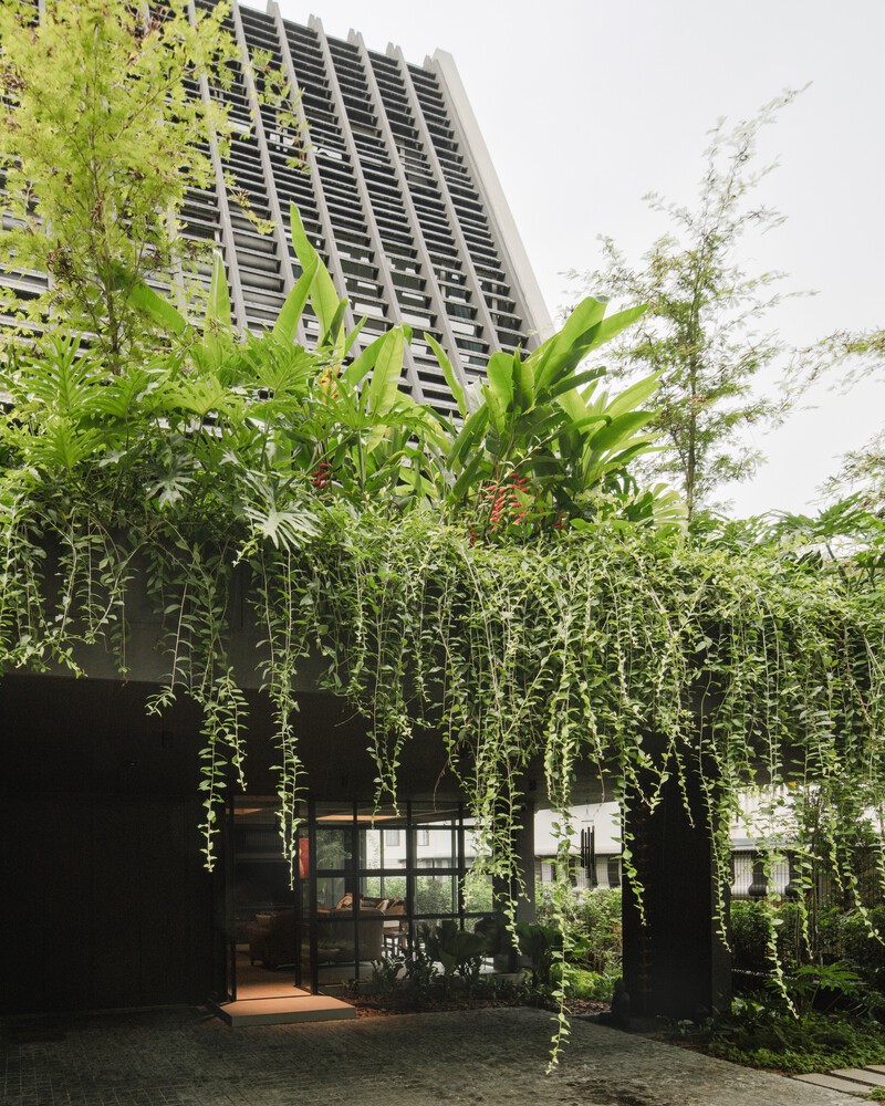 house of endless trees reflects singapore’s modern architecture through ...