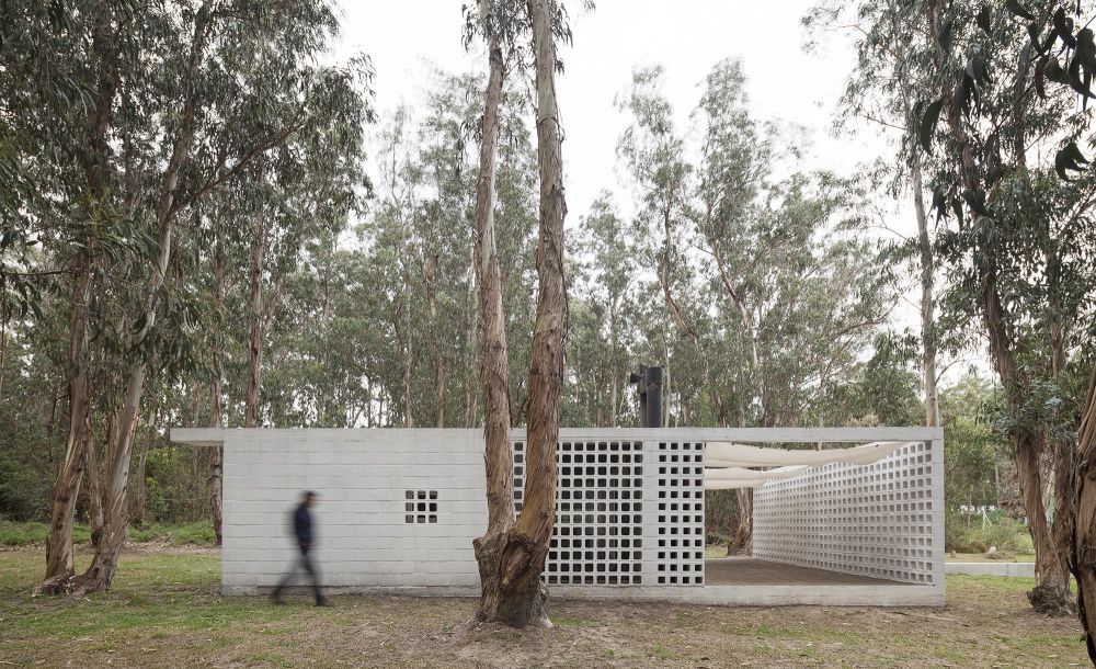 inside latin american architecture: culture and nature | the design story