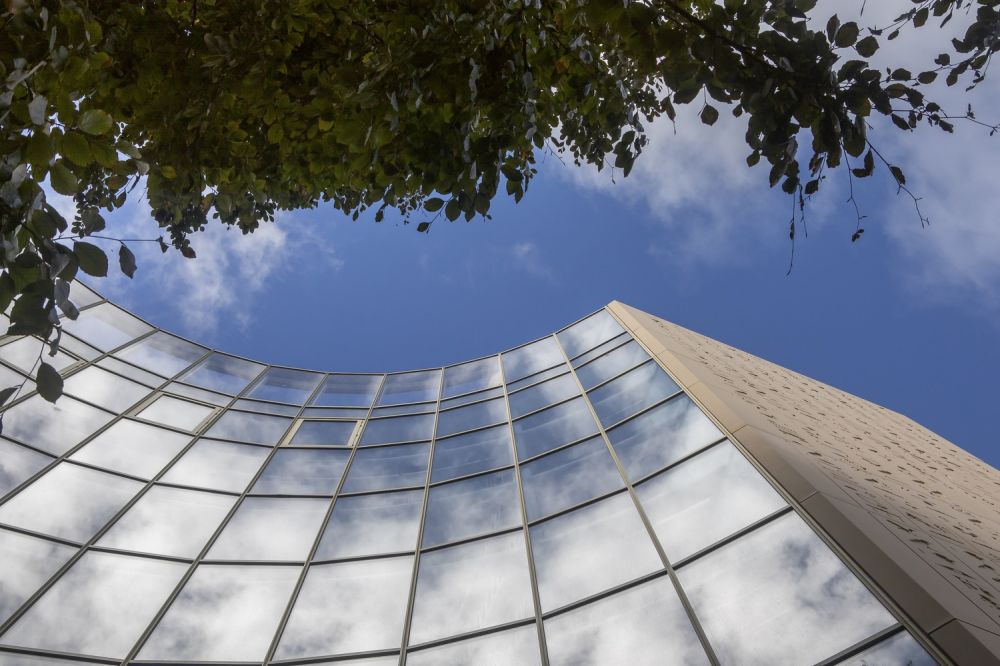 dar arafa + sam architecture highlights indoor trees and community ...