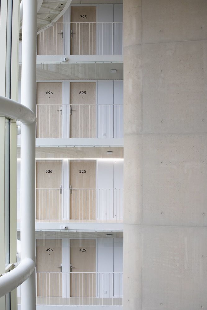 dar arafa + sam architecture highlights indoor trees and community ...