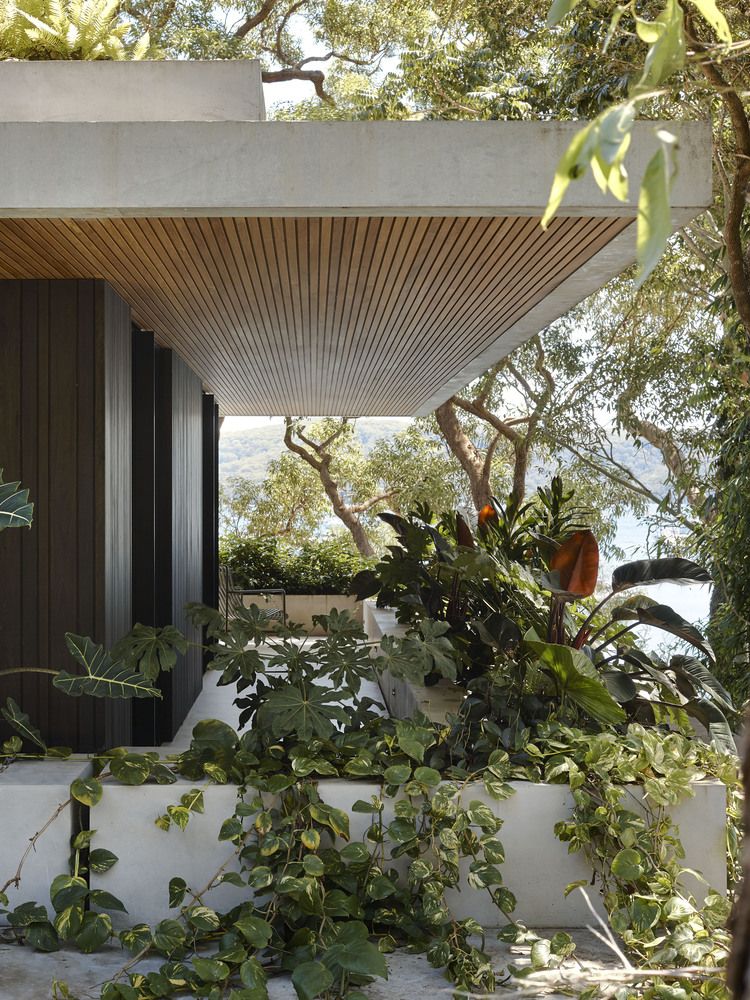 m house generates brazilian modernist spirit in clareville: project by ...