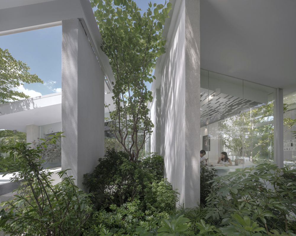 a picturesque ethereal cafe bathed in lush landscape - nana coffee ...