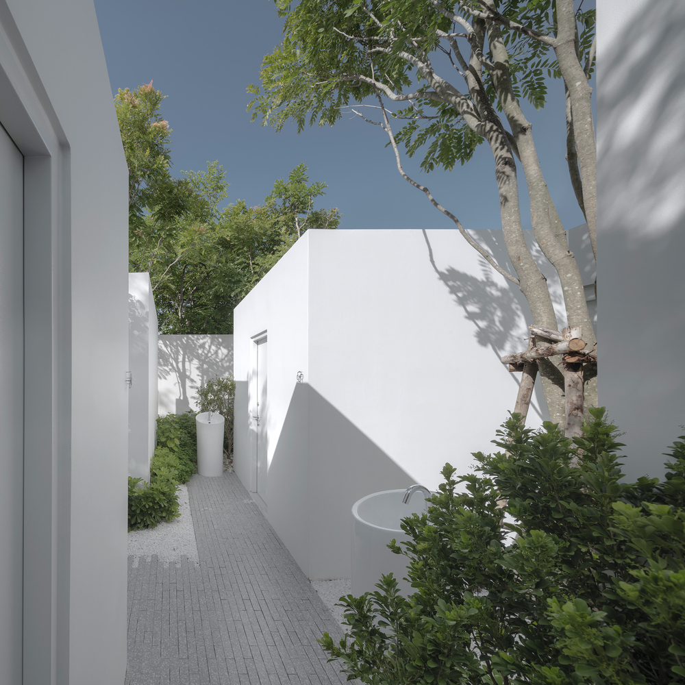 a picturesque ethereal cafe bathed in lush landscape - nana coffee ...