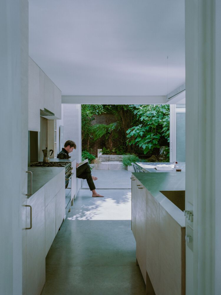 oasis house is a light-filled sanctuary amid a lush hidden garden ...