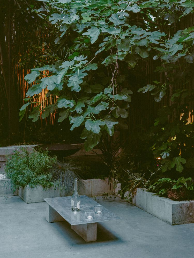 oasis house is a light-filled sanctuary amid a lush hidden garden ...