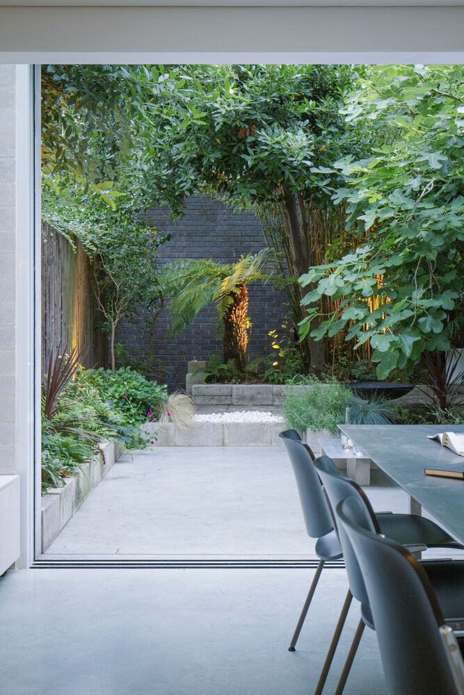 oasis house is a light-filled sanctuary amid a lush hidden garden ...