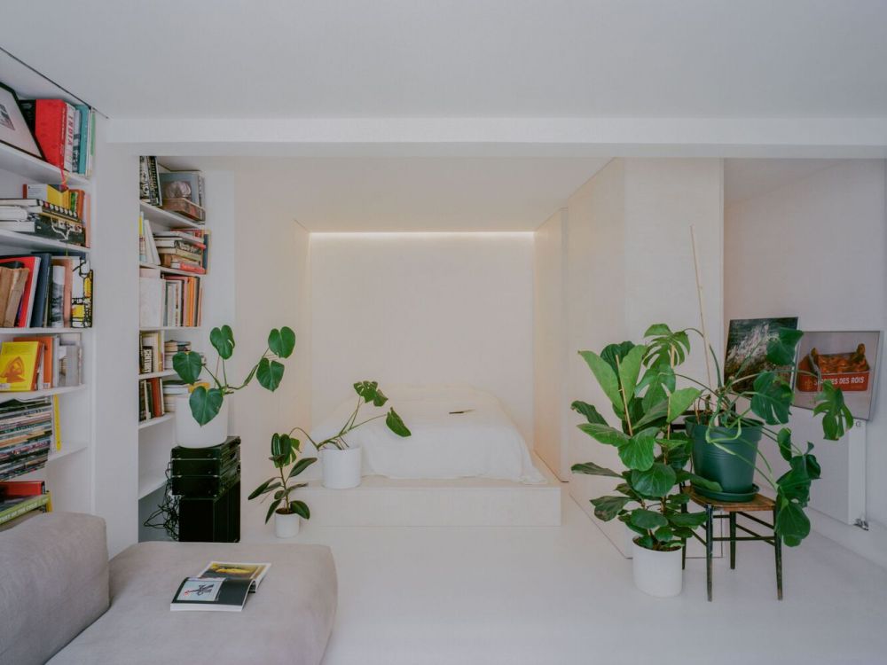 oasis house is a light-filled sanctuary amid a lush hidden garden ...