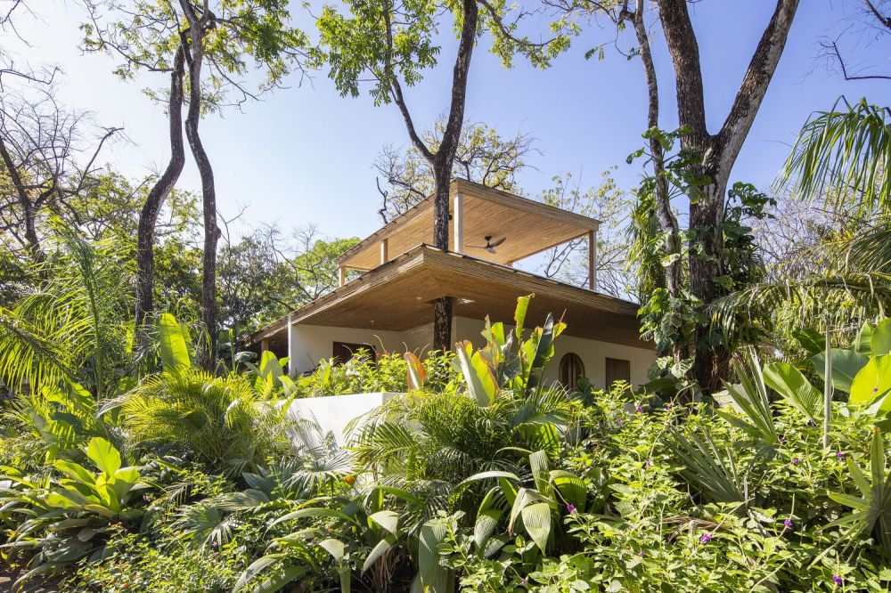 outpost offices imbues harmonious workspace surrounded by nature ...