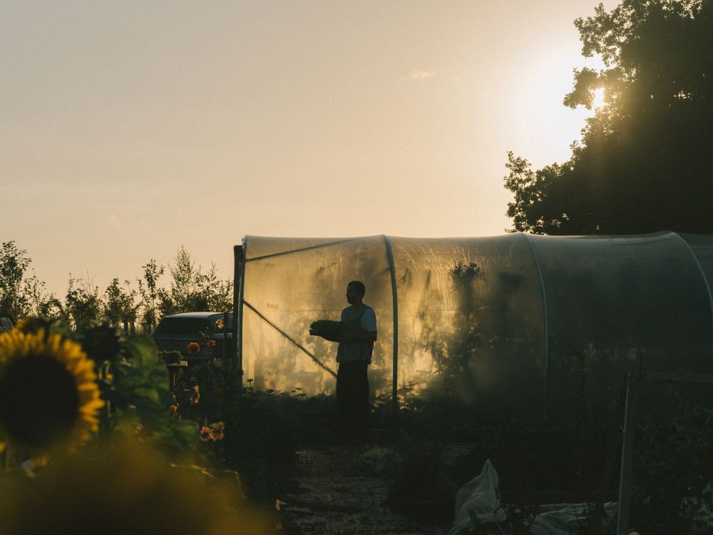 news: bindloss dawes combines rustic charm and timeless design at osip restaurant | the design story