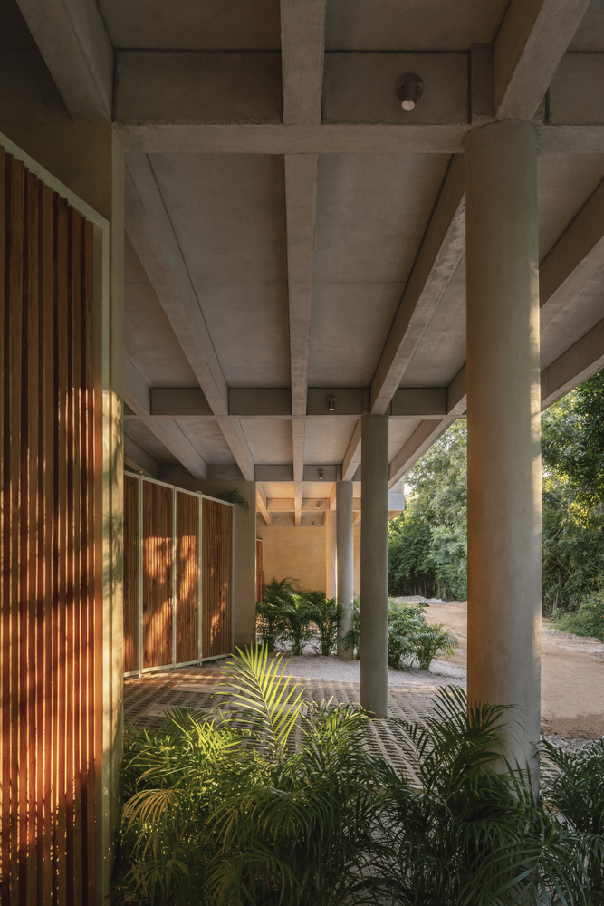 palmera house balances architecture and natural landscape: project by ...