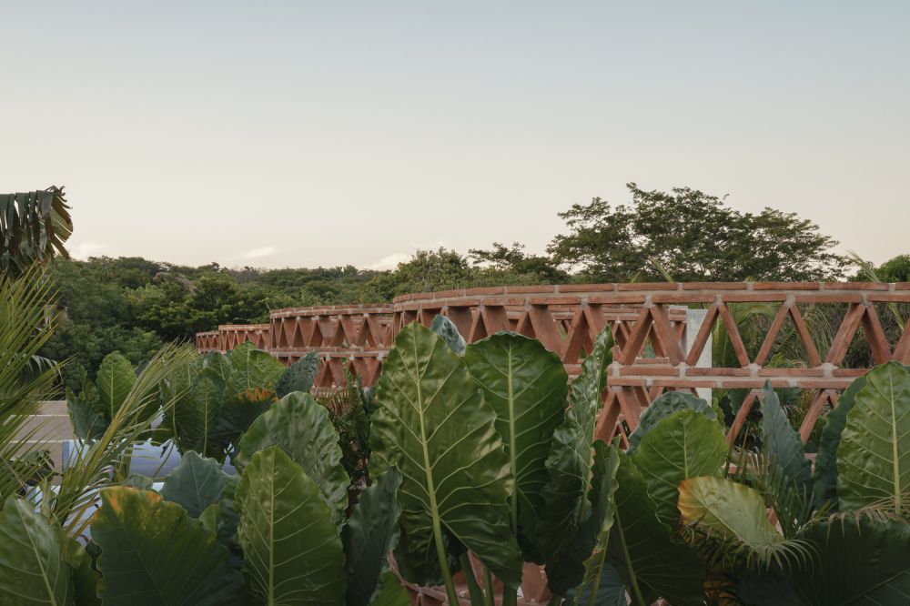 palmera house balances architecture and natural landscape: project by ...