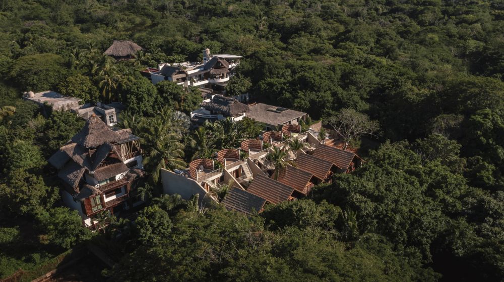 palmera house balances architecture and natural landscape: project by ...