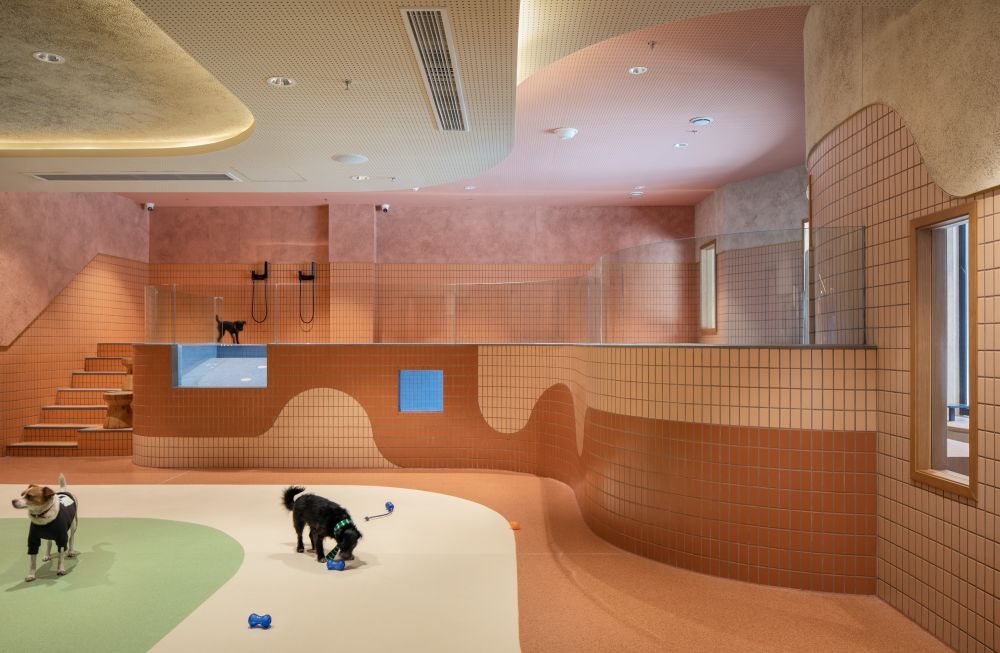 news: an earthy and youthful one-stop petshop design in shanghai | the ...